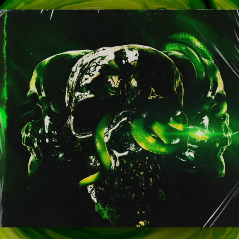 VIPER VEMON LOOP KIT VOL 1 by BlessThyTrvp - Sound Kit