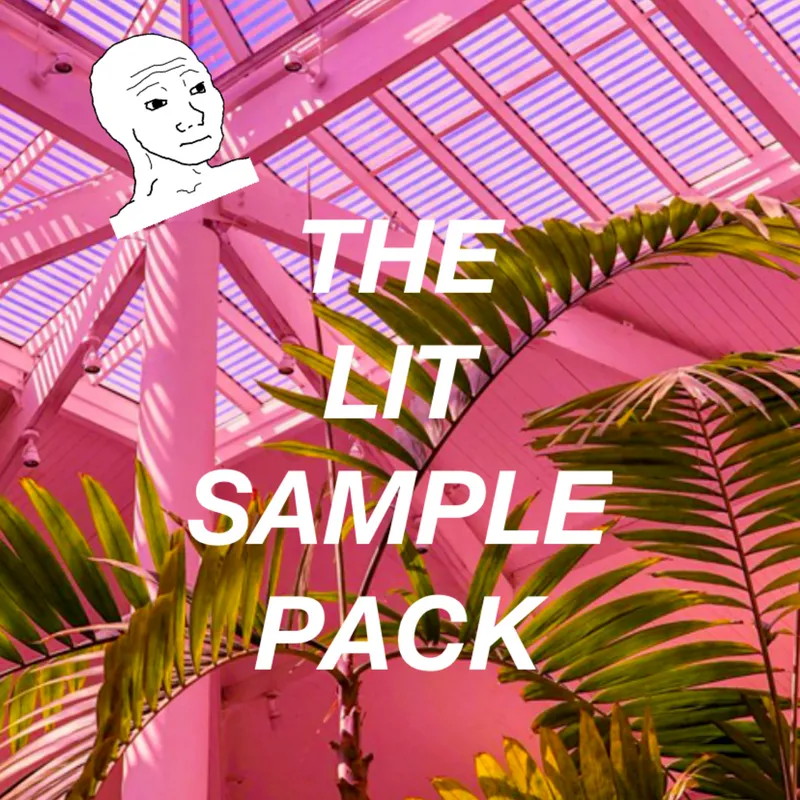 THE LIT SAMPLE PACK by lilsambeatsss - Sound Kit