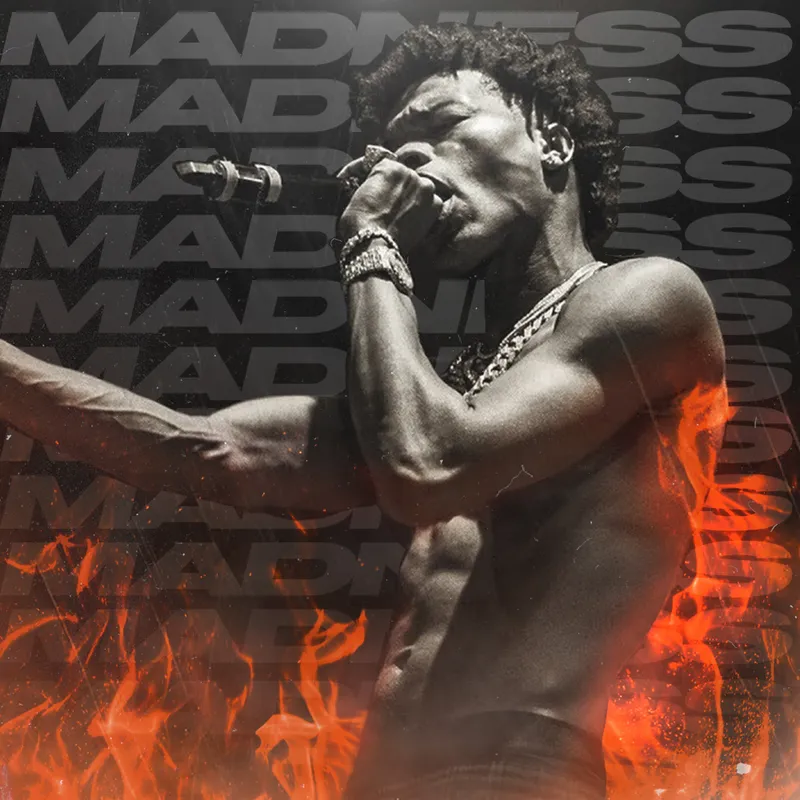 "Madness" Loop Kit by WristyBoi - Sound Kit